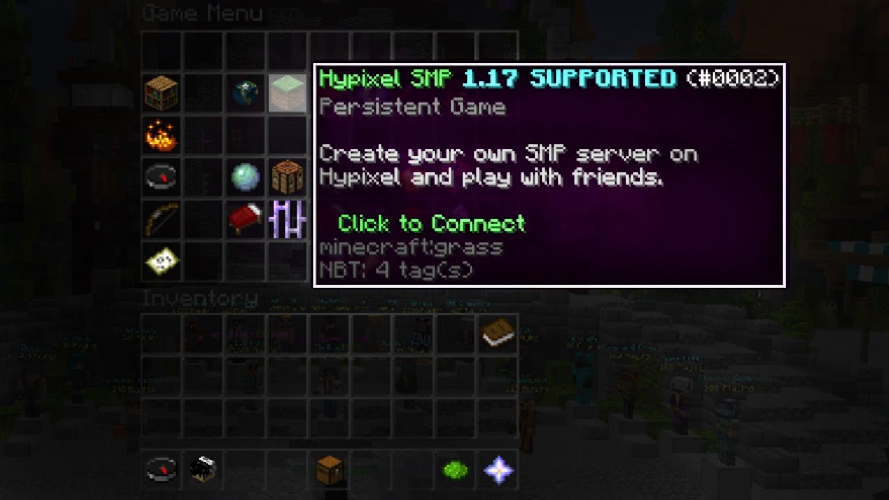 the hypixel smp experience - YouTube