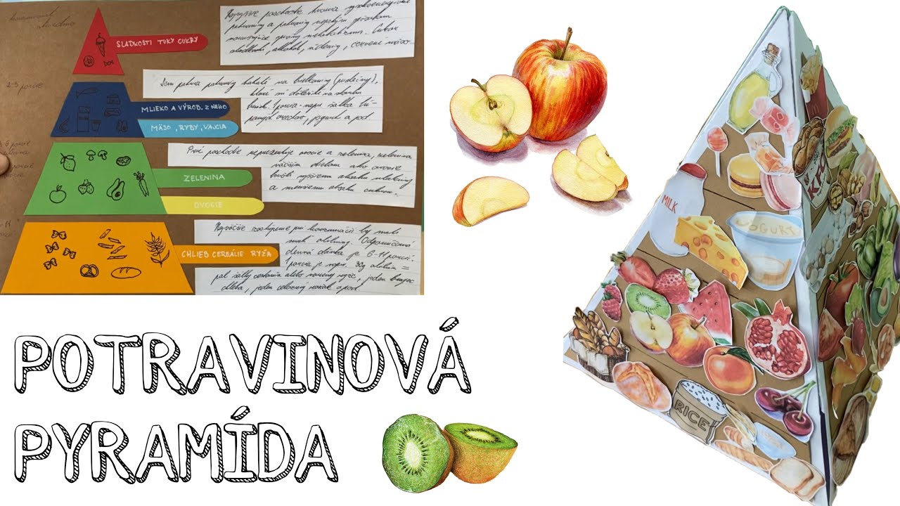 Potravinová pyramída - YouTube