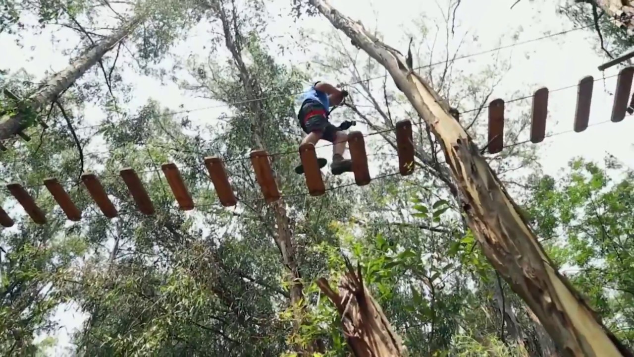 Acrobranch hosts VIA - YouTube