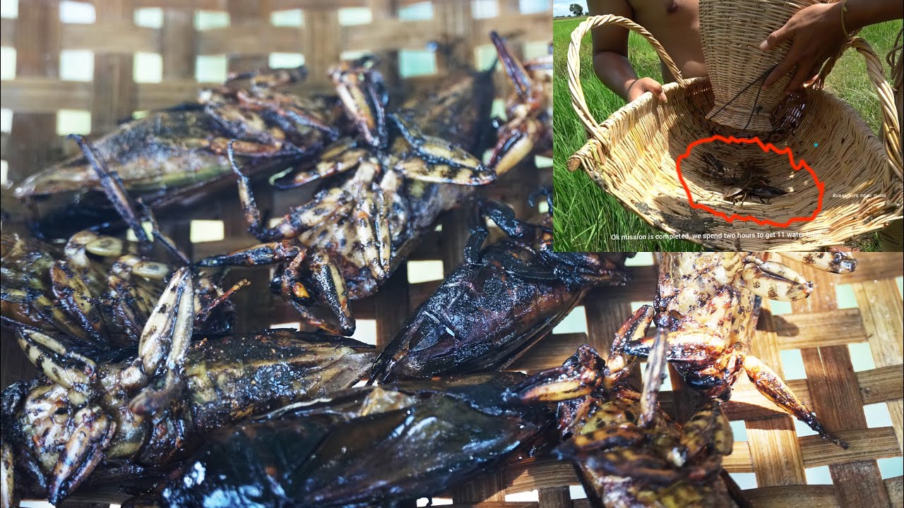 WATER BUGS HUNTING AND COOKING | this amazing man has done great job to ...