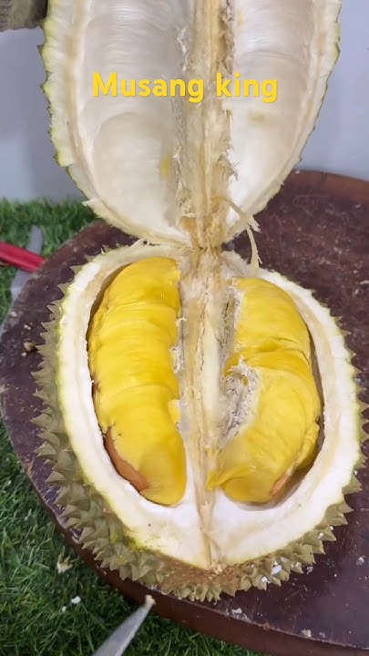 unboxing Durian Musang king premium #trending #durian #fruit #durianlover #bawor #india #shorts ...