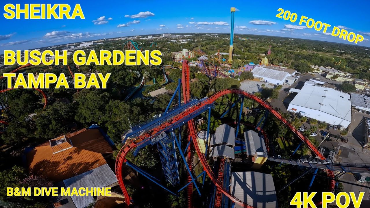 Sheikra at Busch Gardens Tampa Bay | 4K POV - YouTube