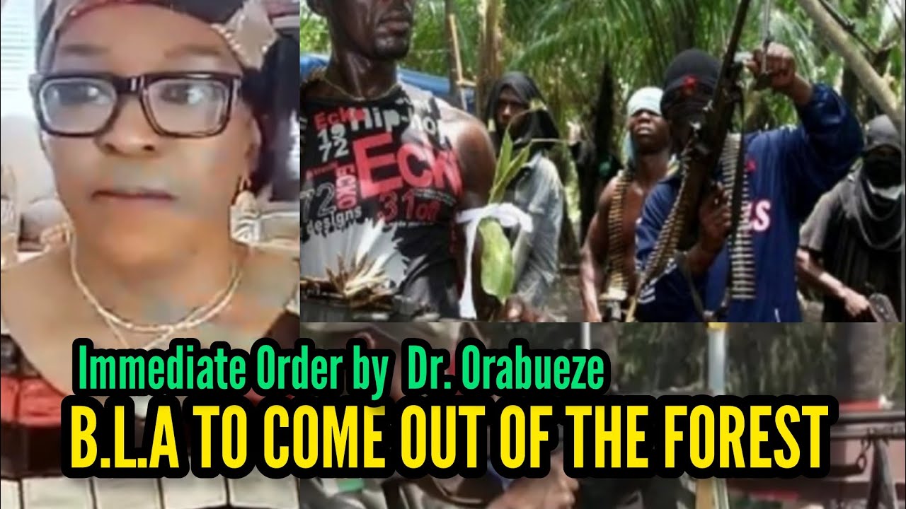 Dr. Orabueze Orders Biafra Defense Force To Come Out Of D Forest ...