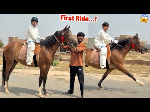 Female Horse 🐎 Ki First Ride!😍 Arslan Ny Female Horse Py First Ride Ki 😱