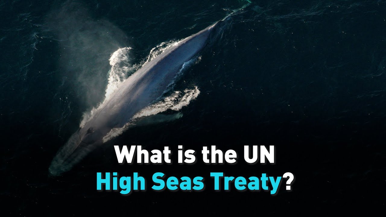 What is the UN High Seas Treaty? - YouTube