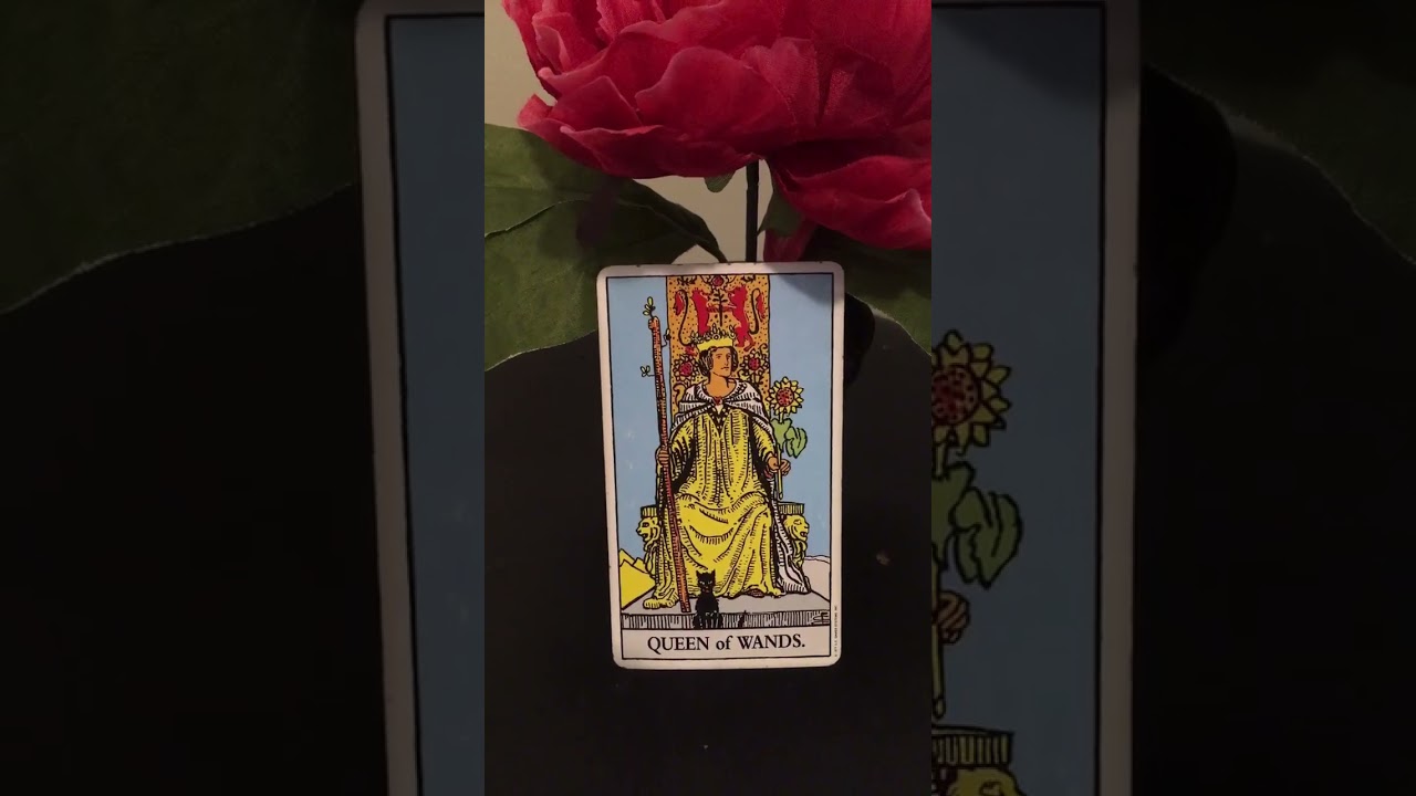 Earth Signs Daily Advice Tarot Card - Taurus Virgo Capricorn - YouTube