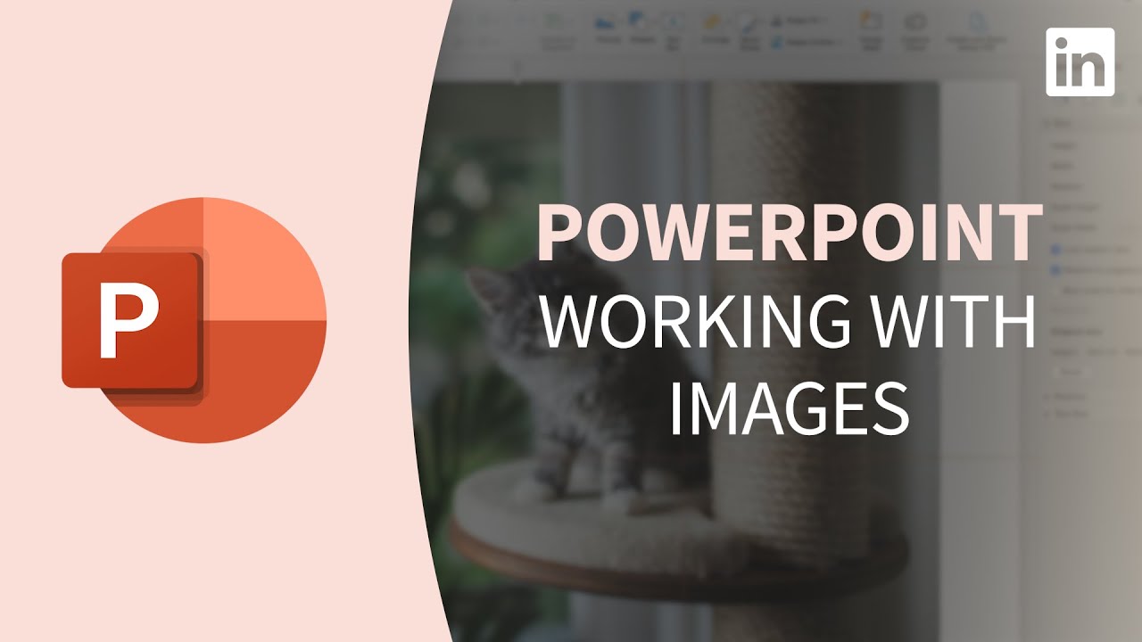 PowerPoint Tutorial - Working with images - YouTube
