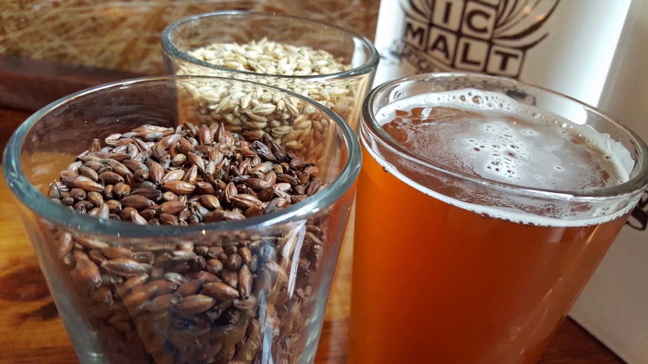 Vertical Malt - Malting Process - YouTube