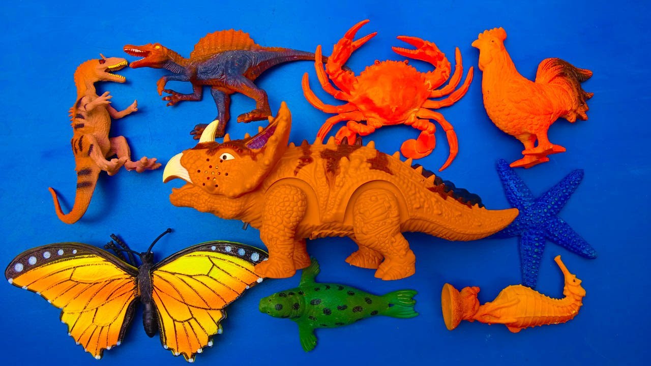 Hunting found wild animal triceratops butterfly seal seahorse starfish ...