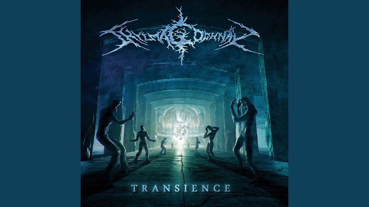 Transience - YouTube
