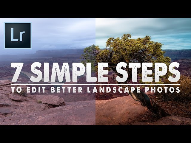 Simple Tree Landscape Photography