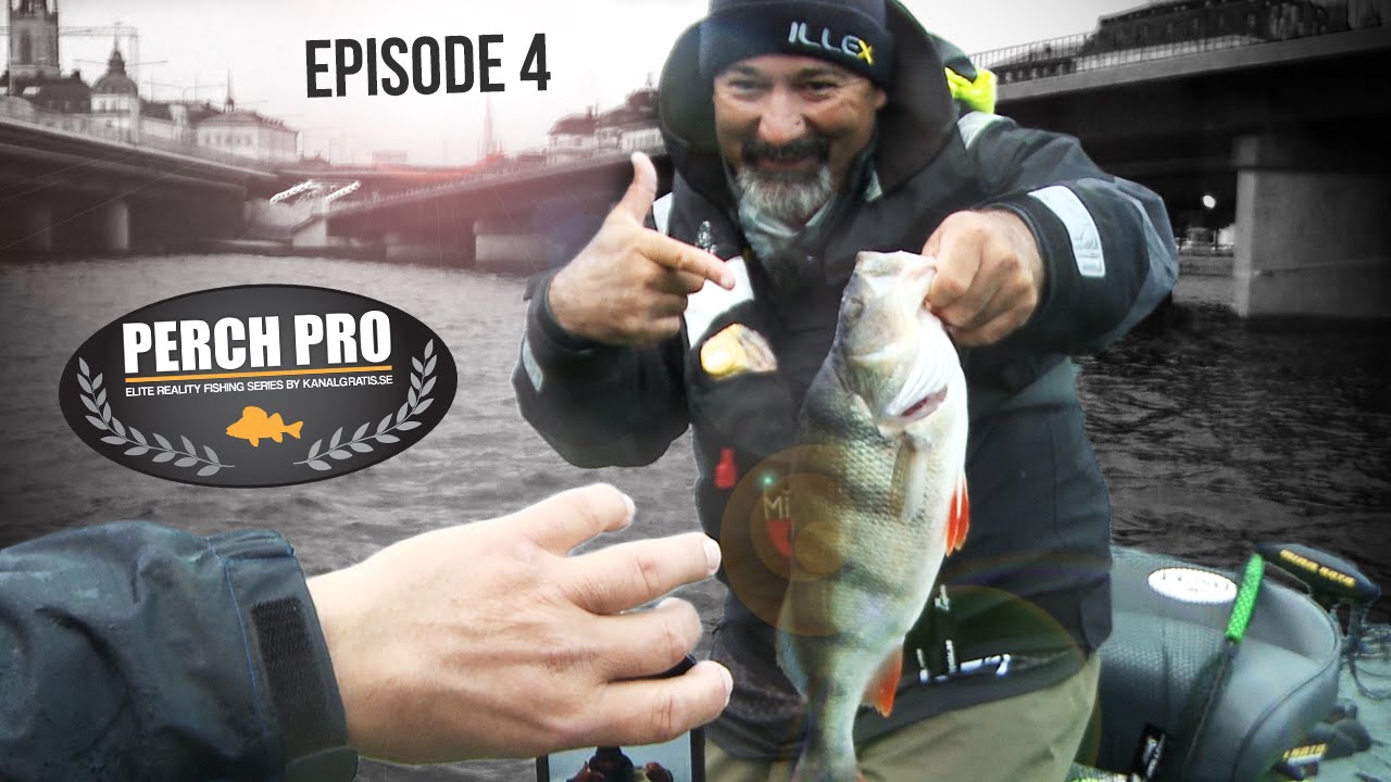 Perch Pro 2016 - EPISODE 4 - Kanalgratis.se - YouTube
