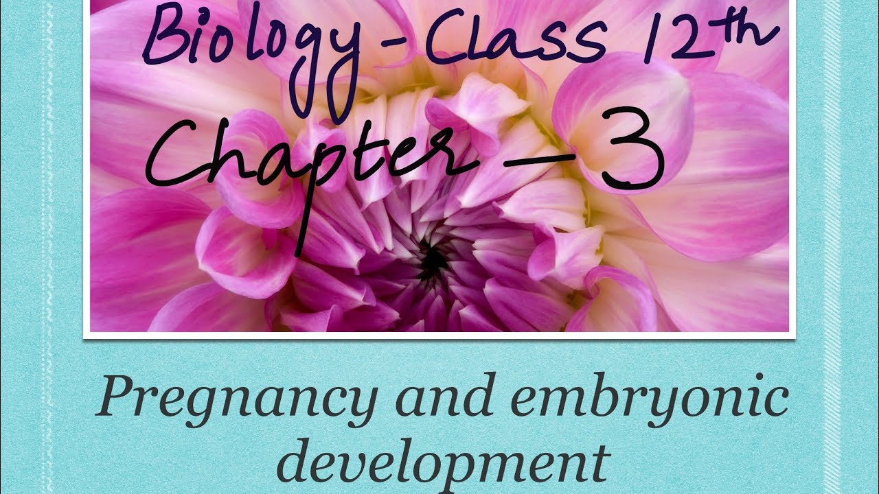 Class 12 BIOLOGY | Chapter 3 | Pregnancy and Embryonic Development ...