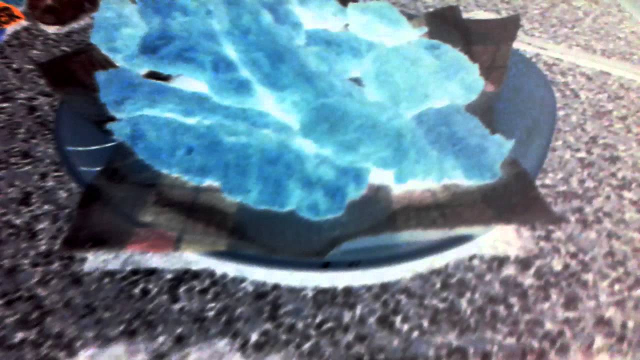 (Energon)Organic food - YouTube