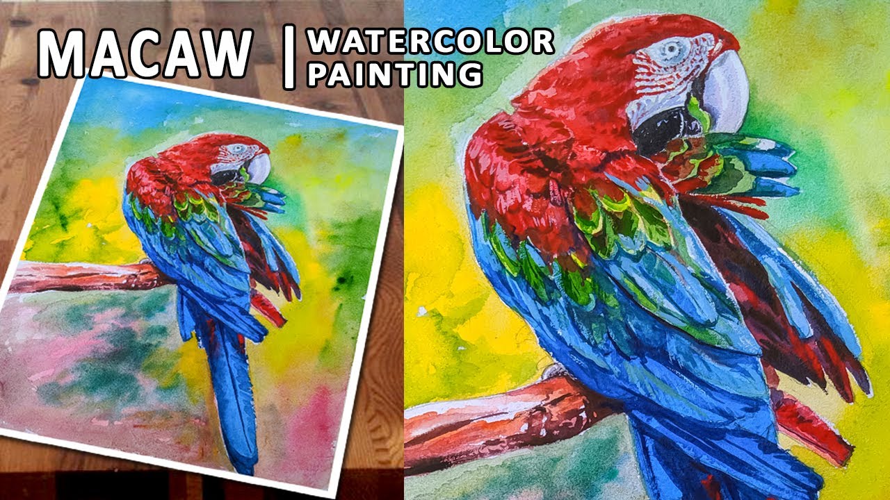 Macaw | Watercolor Painting - YouTube