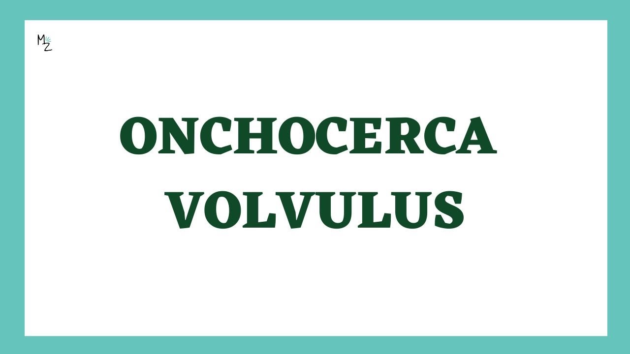 Onchocerca volvulus | Onchocerciasis | River Blindness | Lifecycle ...