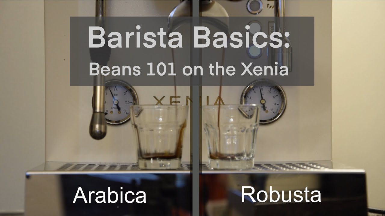 BARISTA BASICS: Robusta vs Arabica with the Xenia - YouTube