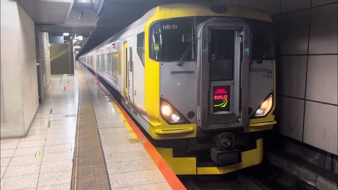 わかしお5号 1055M E257-500番台 NB-01+NB-04 東京京葉地下ホーム1番発車 - YouTube