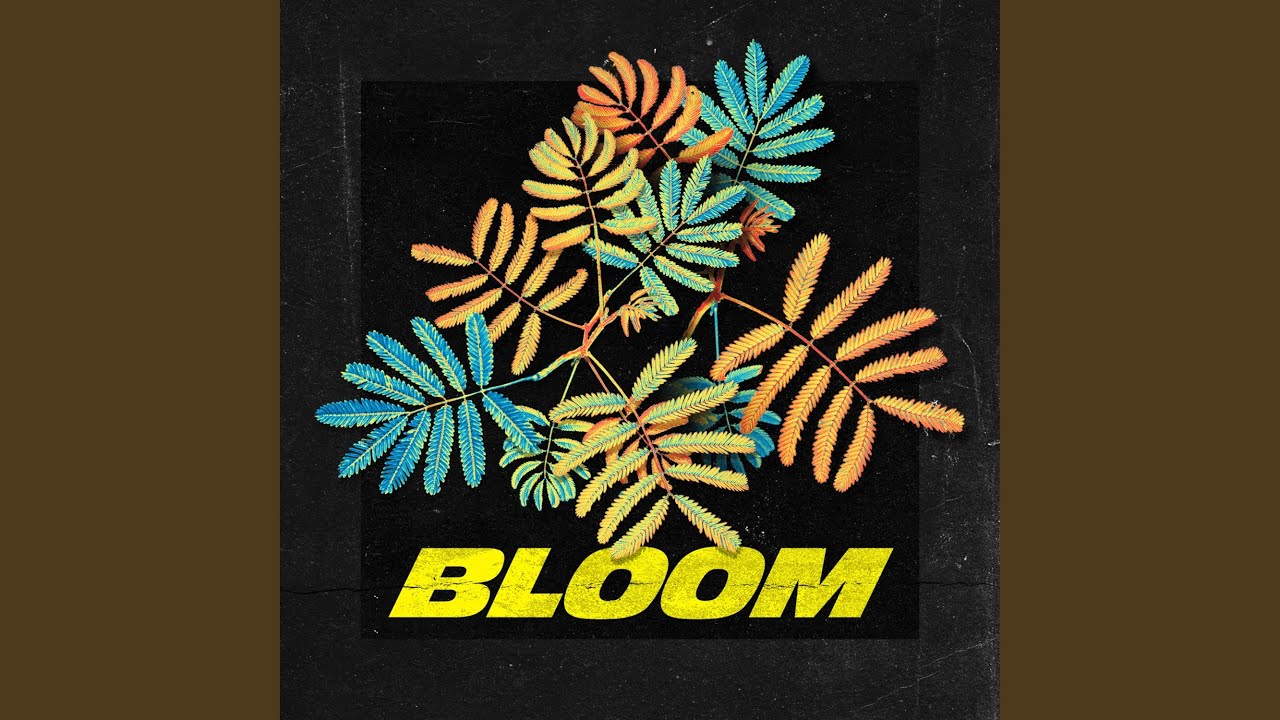 Bloom - YouTube Music