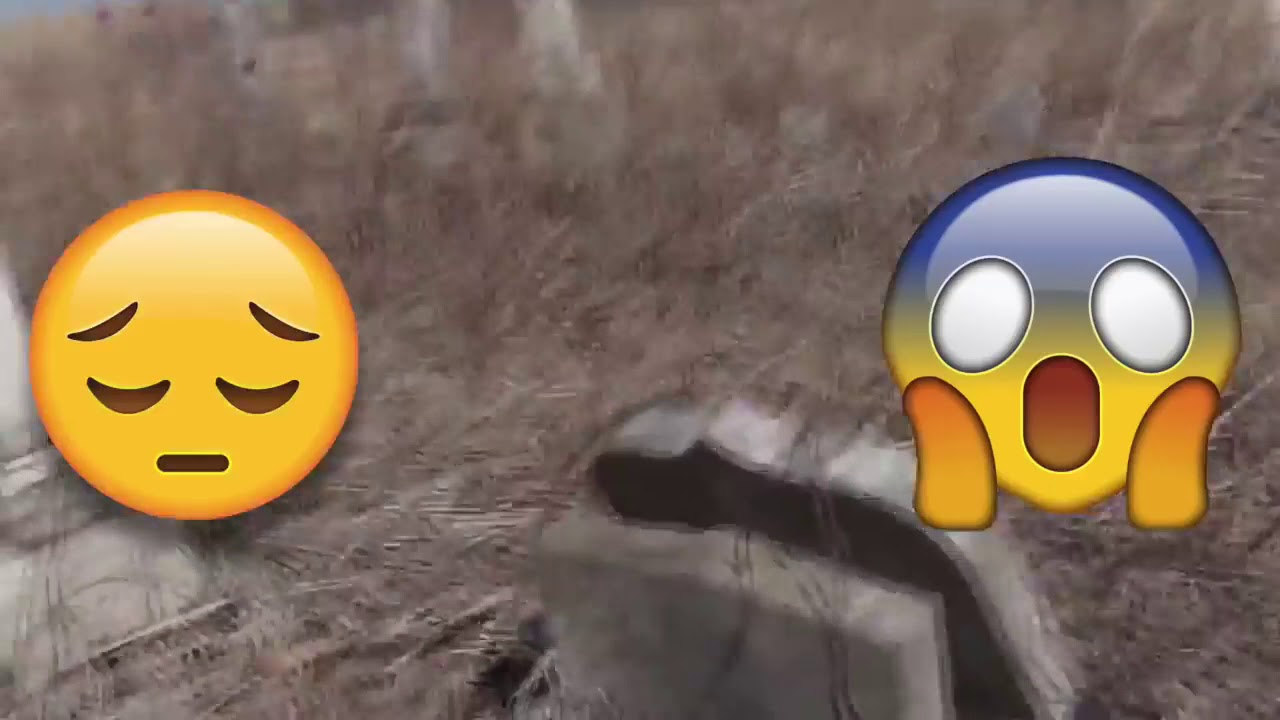 MUST WATCH!! 10 SCARIEST Creatures CAPTURED on CAMERA - YouTube