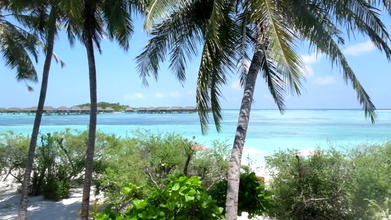 View of the Beach at Pearl Sands of Maldives Hotel, Huraa Island ...