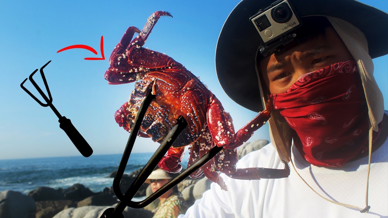 Catch your own fishing bait! NINJA CLAW VS JUMPING CRABS - YouTube