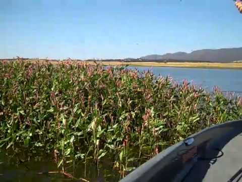 Salt Springs Valley Reservoir Featuring Dobyns Rods with Jo - YouTube