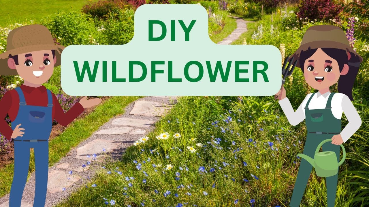 Learn How to MAKE a Wildflower Lawn that LOOKS AMAZING! - YouTube