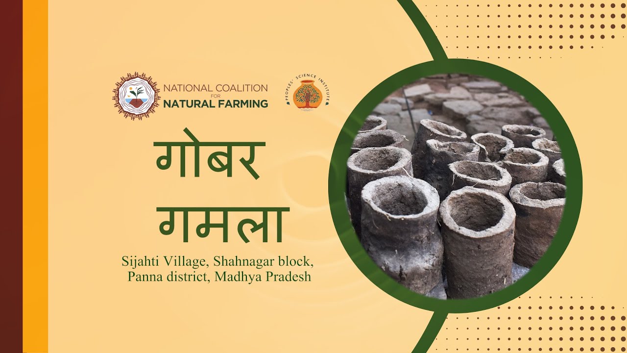 First-Hand From Farms- Gobar Gamla - YouTube