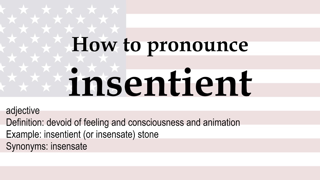 How to pronounce 'insentient' + meaning - YouTube