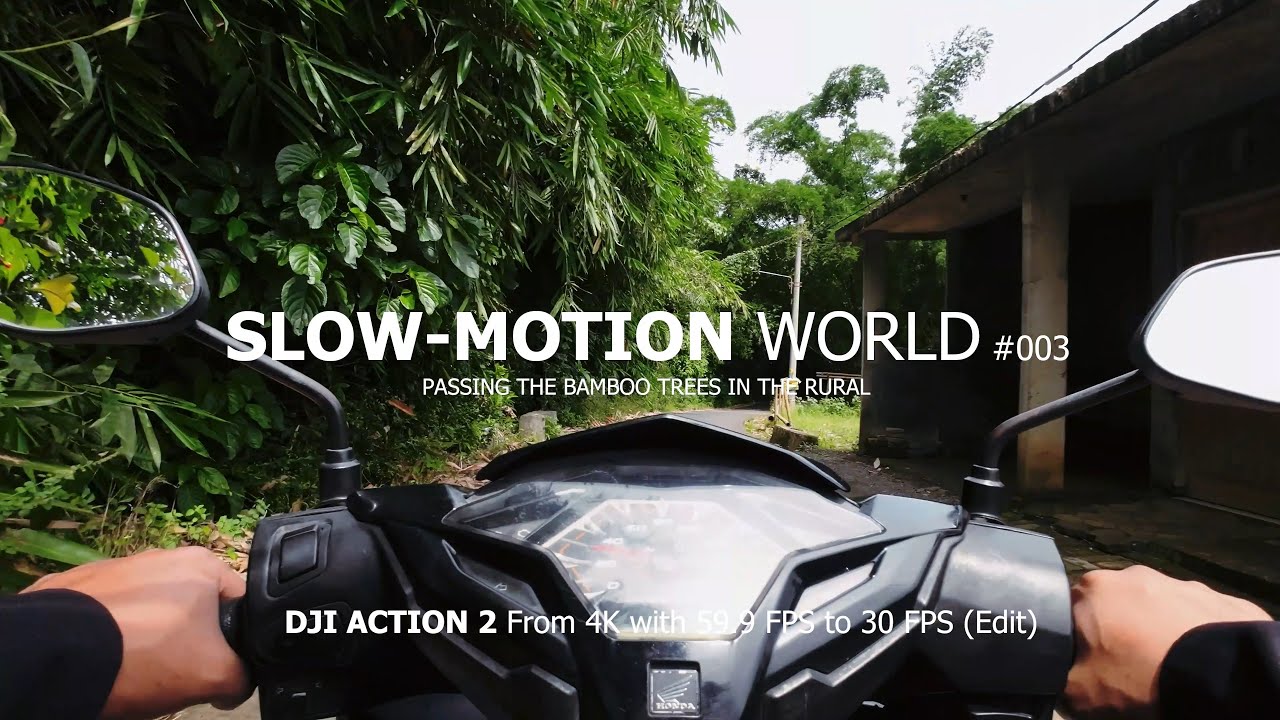 Slow Motion World @003 PASSING THE BAMBOO TREES IN THE RURAL | Dji ...