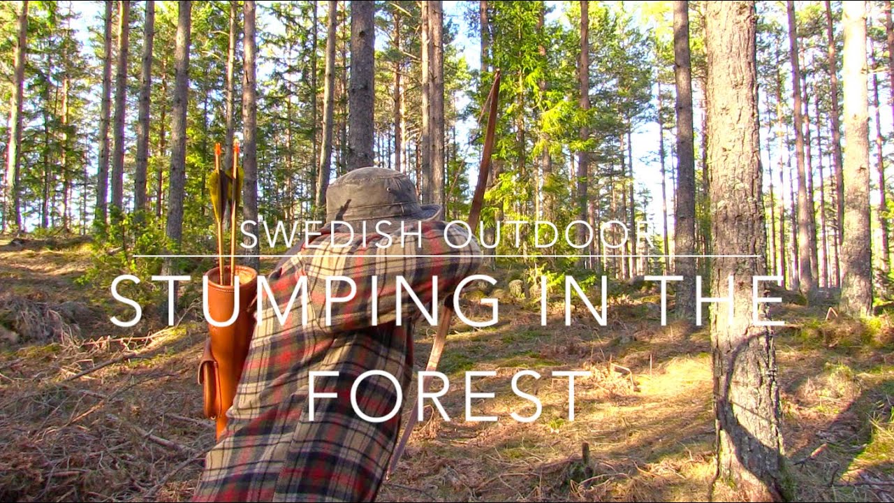 Archery Training | Stumping in the forest - YouTube