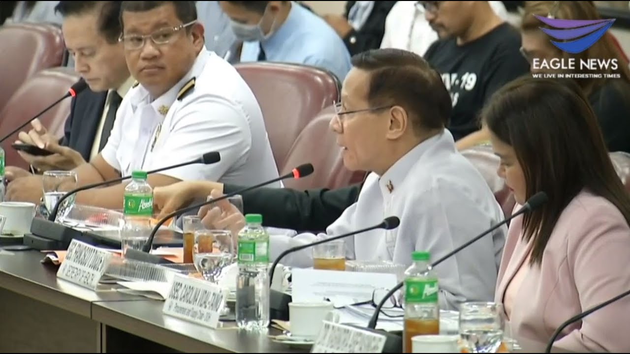 Hearing in Congress on COVID-19 cases in the country with DOH officials ...