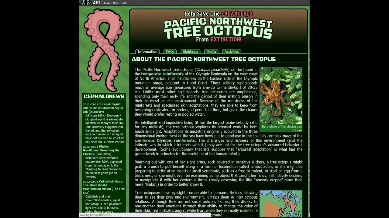 Tree Octopus - YouTube