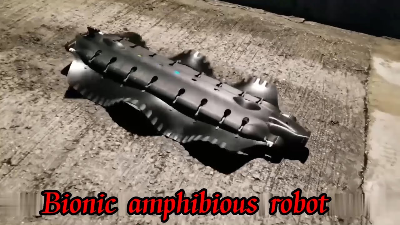 Legless bionic amphibious robot. - YouTube