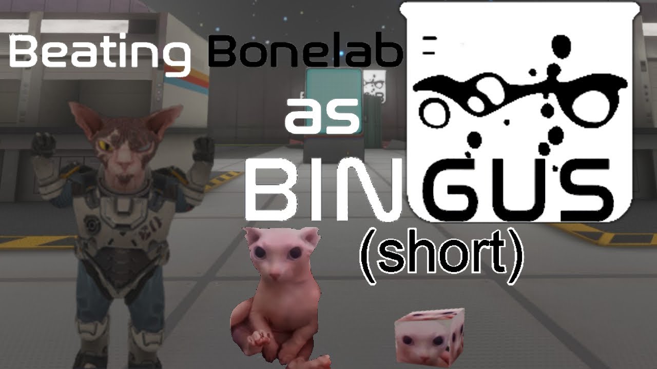 I TRIED Beating Playing Bonelab Only As Bingus (Short) - YouTube