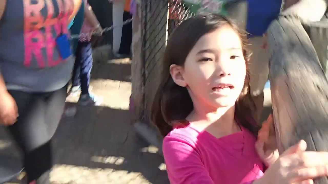 Zoe-patra and the Hippos of the Nile Ride - Reaction After The Ride ...