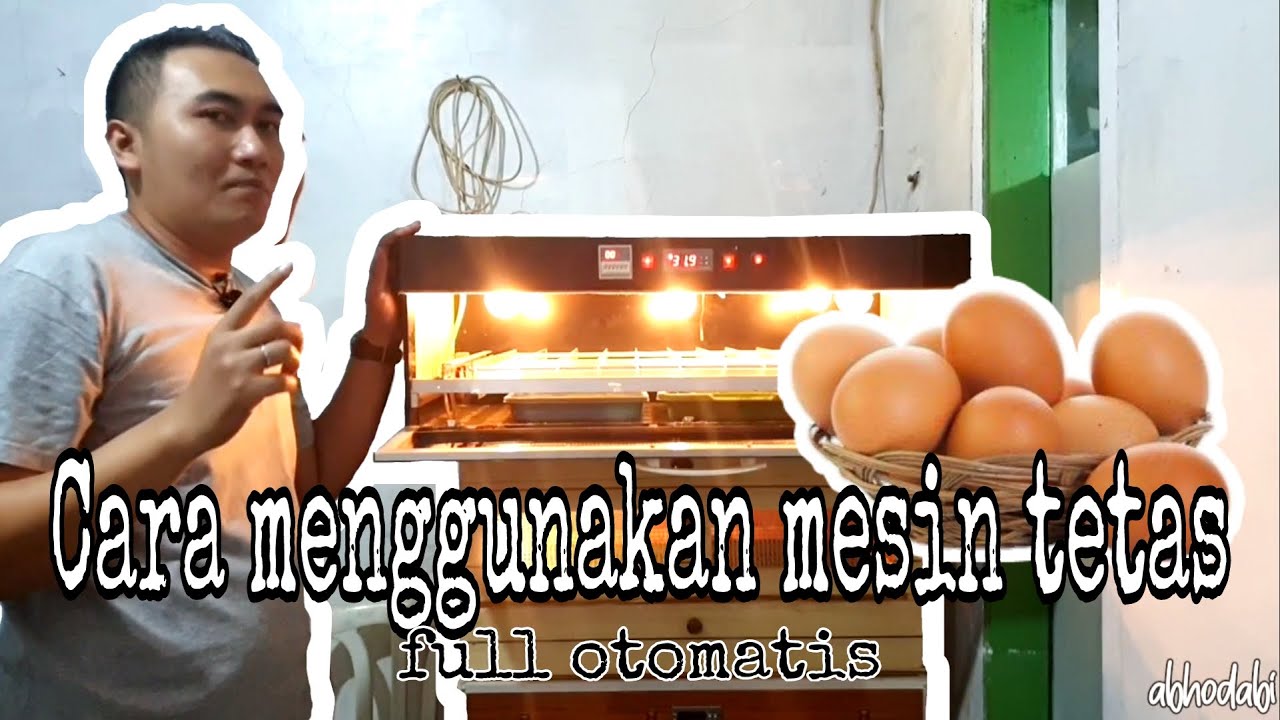 Cara menetaskan telur dengan mesin penetas - mesin tetas otomatis - YouTube