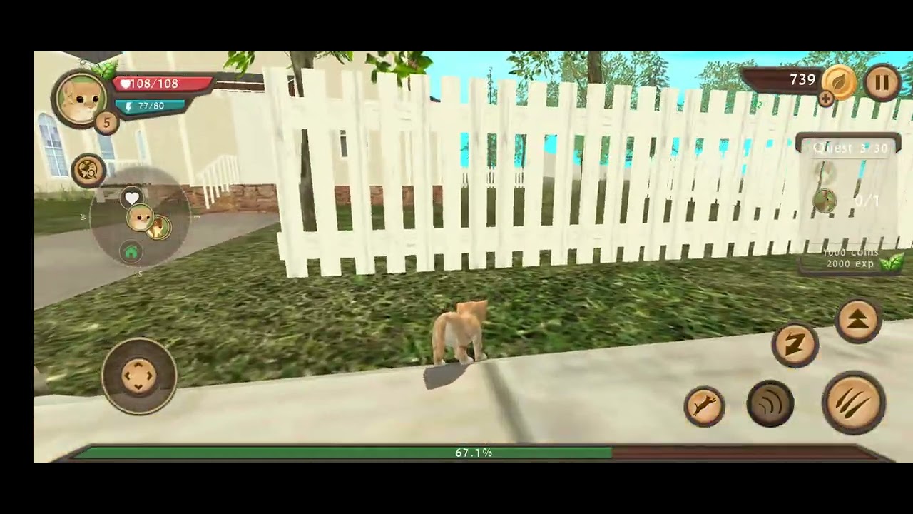 Cat Sim Online Let's Play E1:To the city we go! - YouTube