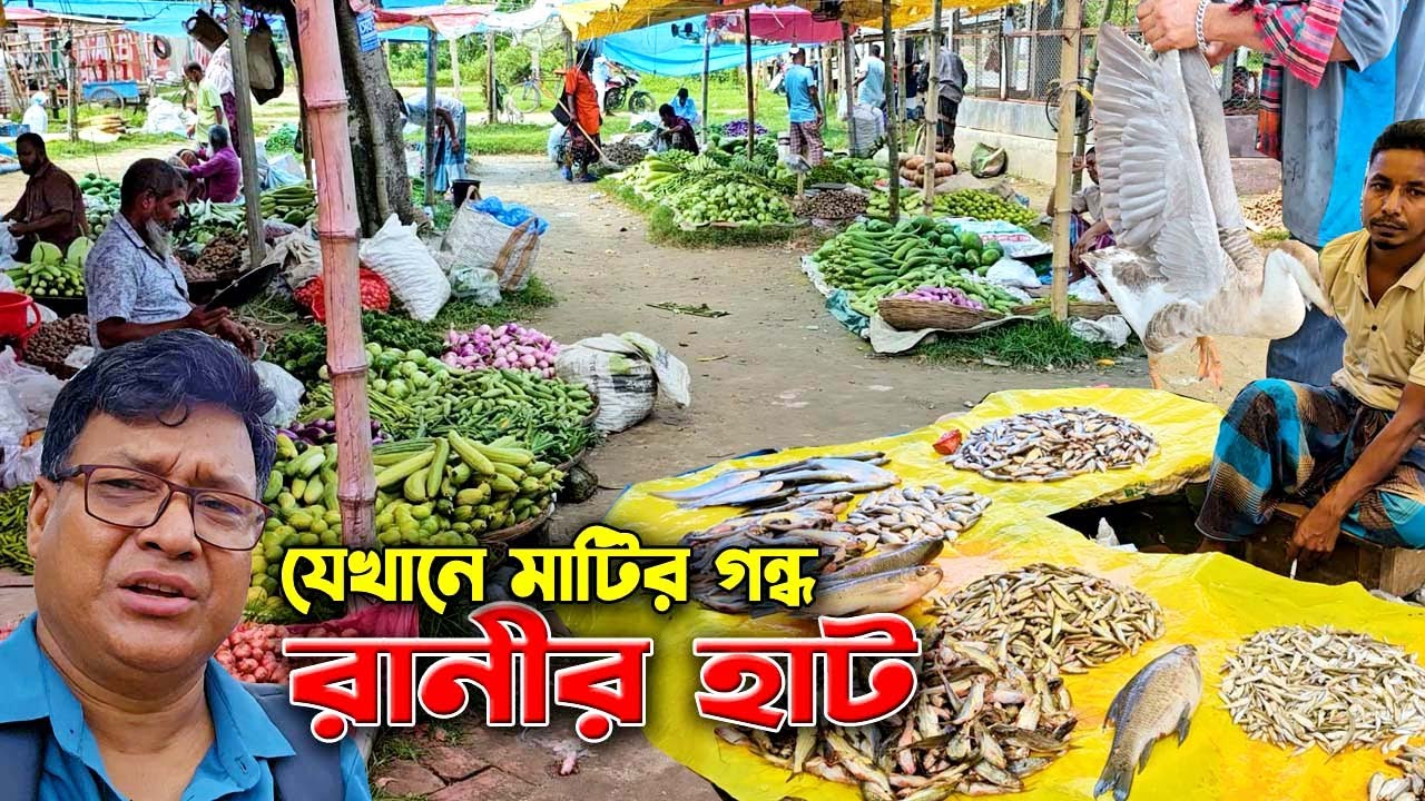 রানীরহাট, বগুড়ার ঐতিহ্যবাহী গ্রামীণ হাট। Traditional Village Market of ...