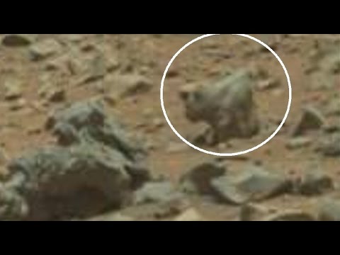 The Dogs of Mars - YouTube
