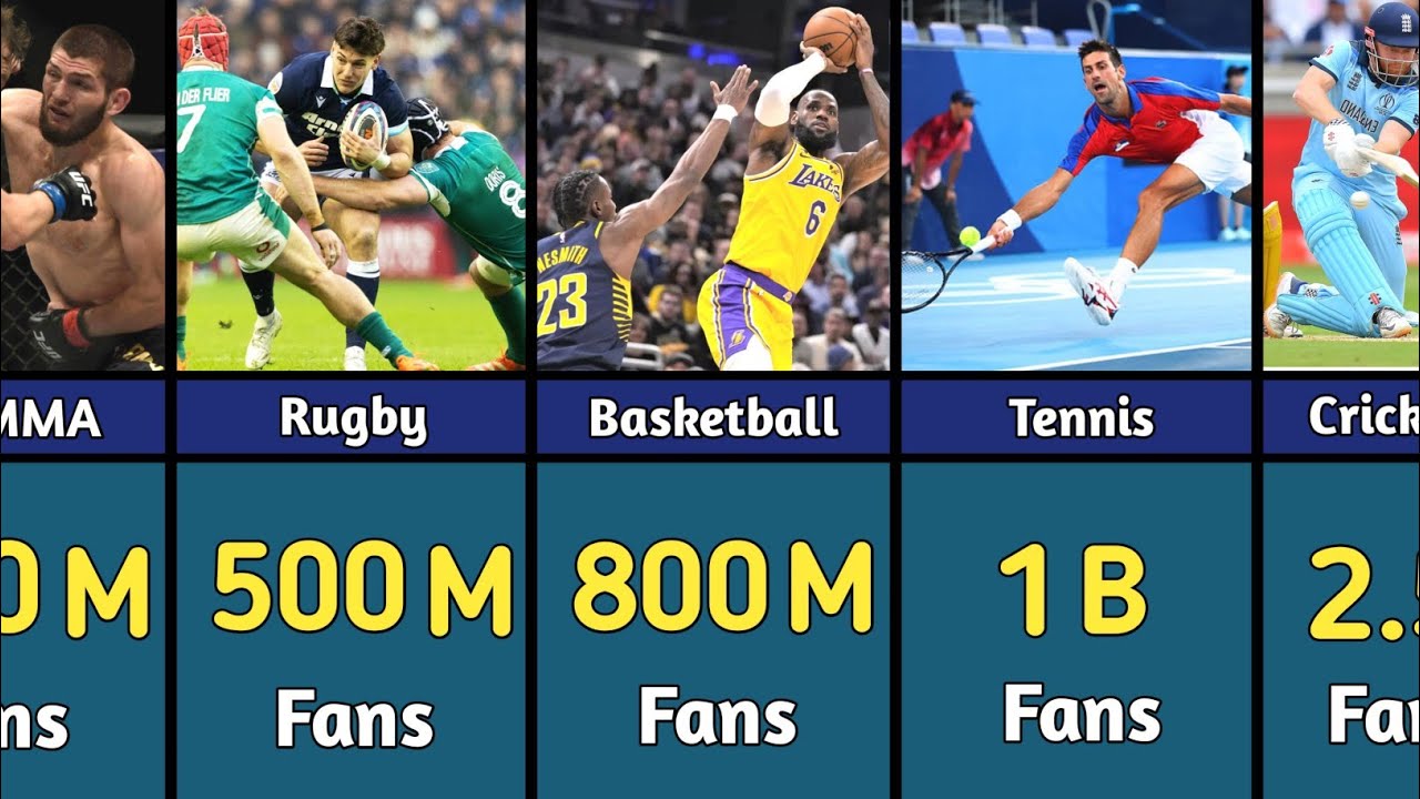Comparison: Most POPULAR SPORTS in the World 2025 - YouTube