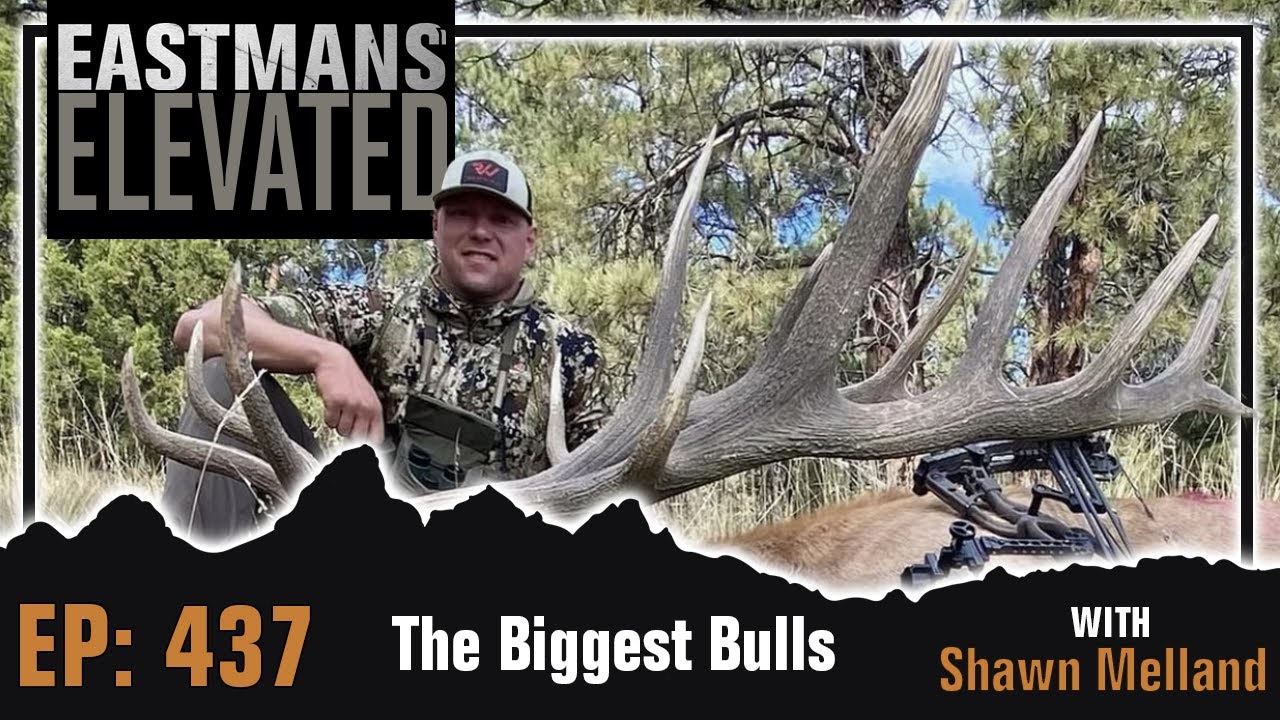 The Biggest Bulls With Shawn Melland | Eastmans' Elevated Podcast #166 - YouTube