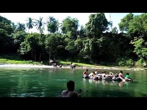 TANGKAHAN RIVER [TUBING RAFTING.] - YouTube