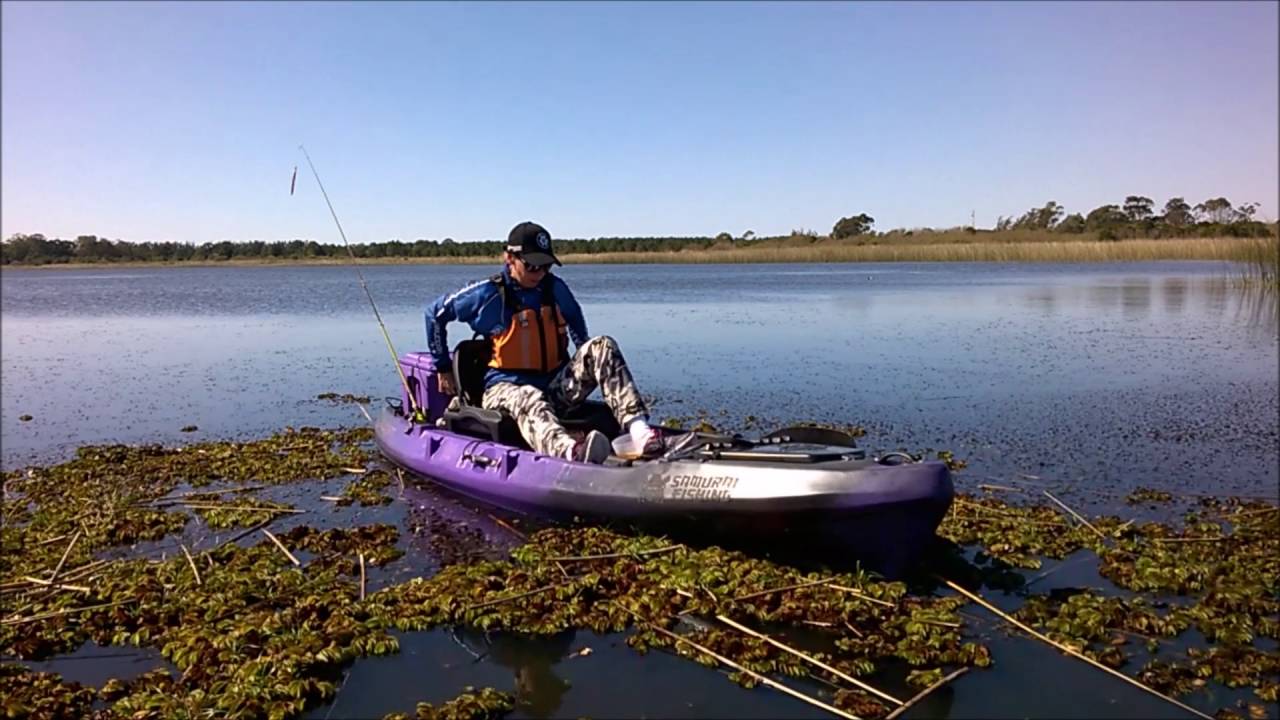 Samurai Fishing - Sakurá - YouTube