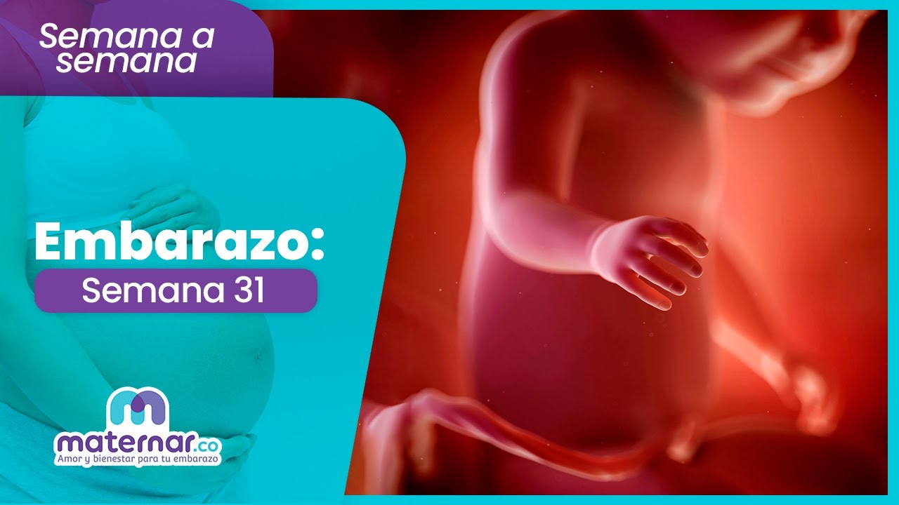 Semana 31 de embarazo: ¡Notarás muchos cambios en tu cuerpo, pero son ...