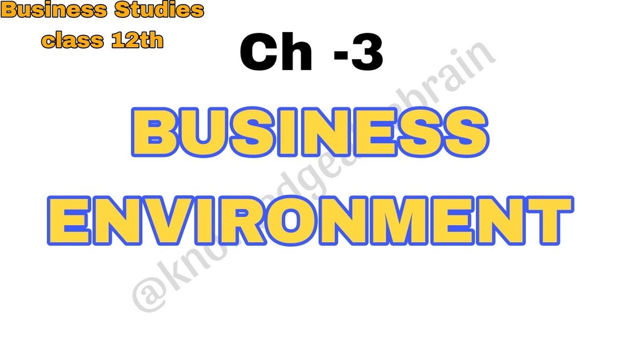 ch 3 // BUSINESS ENVIRONMENT//Full chapter explanation//business ...
