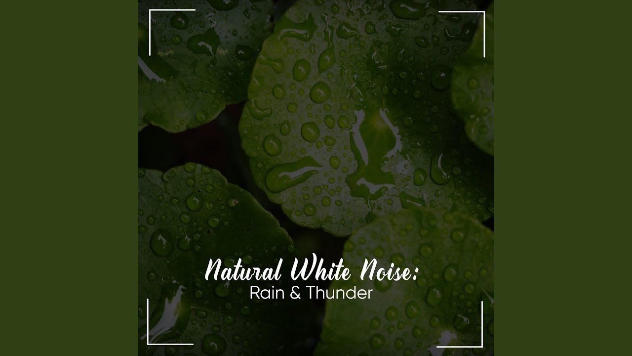 Delicate Rain Patter - YouTube