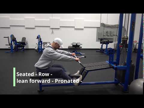 Seated - Row - lean forward - Pronated - - YouTube