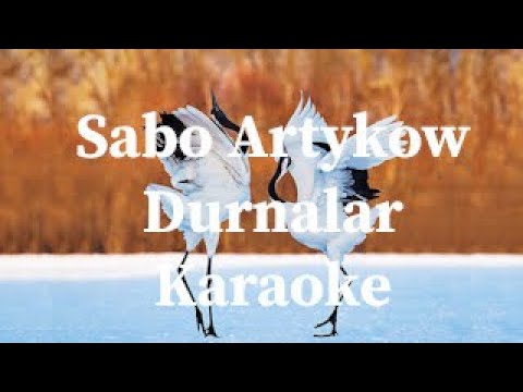 Sabo Artykow - Durnalar (Karaoke)